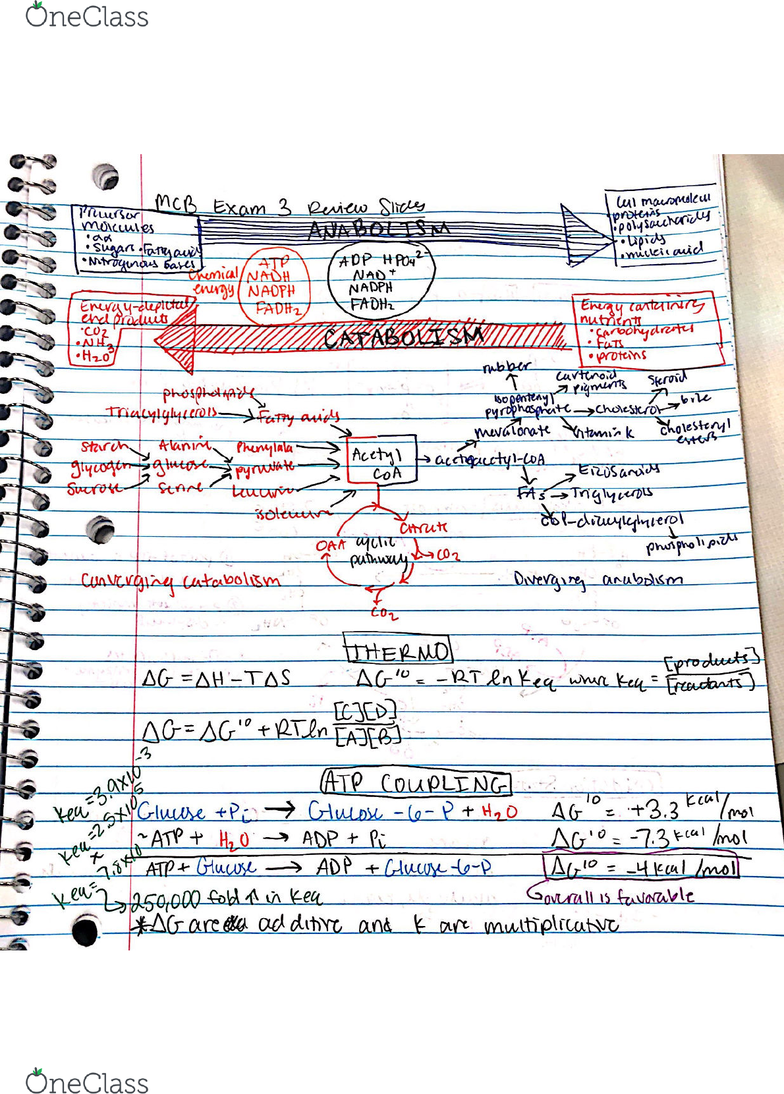 Exam 3 Review Answer Key CS440/ECE448: Artificial Intelligence